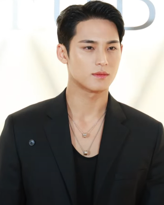 Biografi & Fakta Menarik Mingyu Terlengkap Terbaru - Screen Score 2026